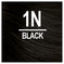 Naturtint Men's Permanent Hair Color 1N Black – Naturtint USA