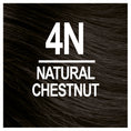 Naturtint Men's Permanent Hair Color 4N Natural Chestnut – Naturtint USA