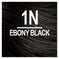 Naturtint Permanent Hair Color 1N Ebony Black (Packaging may vary ...
