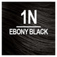 Naturtint Permanent Hair Color 1N Ebony Black (Packaging may vary ...