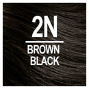 Naturtint Permanent Hair Color 2N Brown Black (Packaging may vary ...