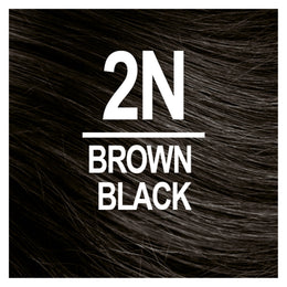 Naturtint Permanent Hair Color 2N Brown Black (Packaging may vary) – Naturtint USA