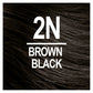 Naturtint Permanent Hair Color 2N Brown Black (Packaging may vary) – Naturtint USA