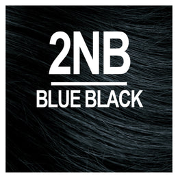Naturtint Permanent Hair Color 2NB Blue Black (Packaging may vary ...