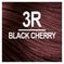 Naturtint Permanent Hair Color 3R Black Cherry (Packaging may vary ...