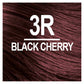 Naturtint Permanent Hair Color 3R Black Cherry (Packaging may vary ...