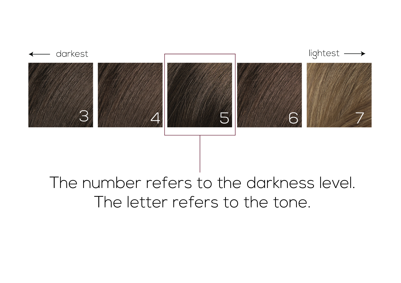 Mens Color Chart Naturtint USA Mens Color Chart Naturtint USA